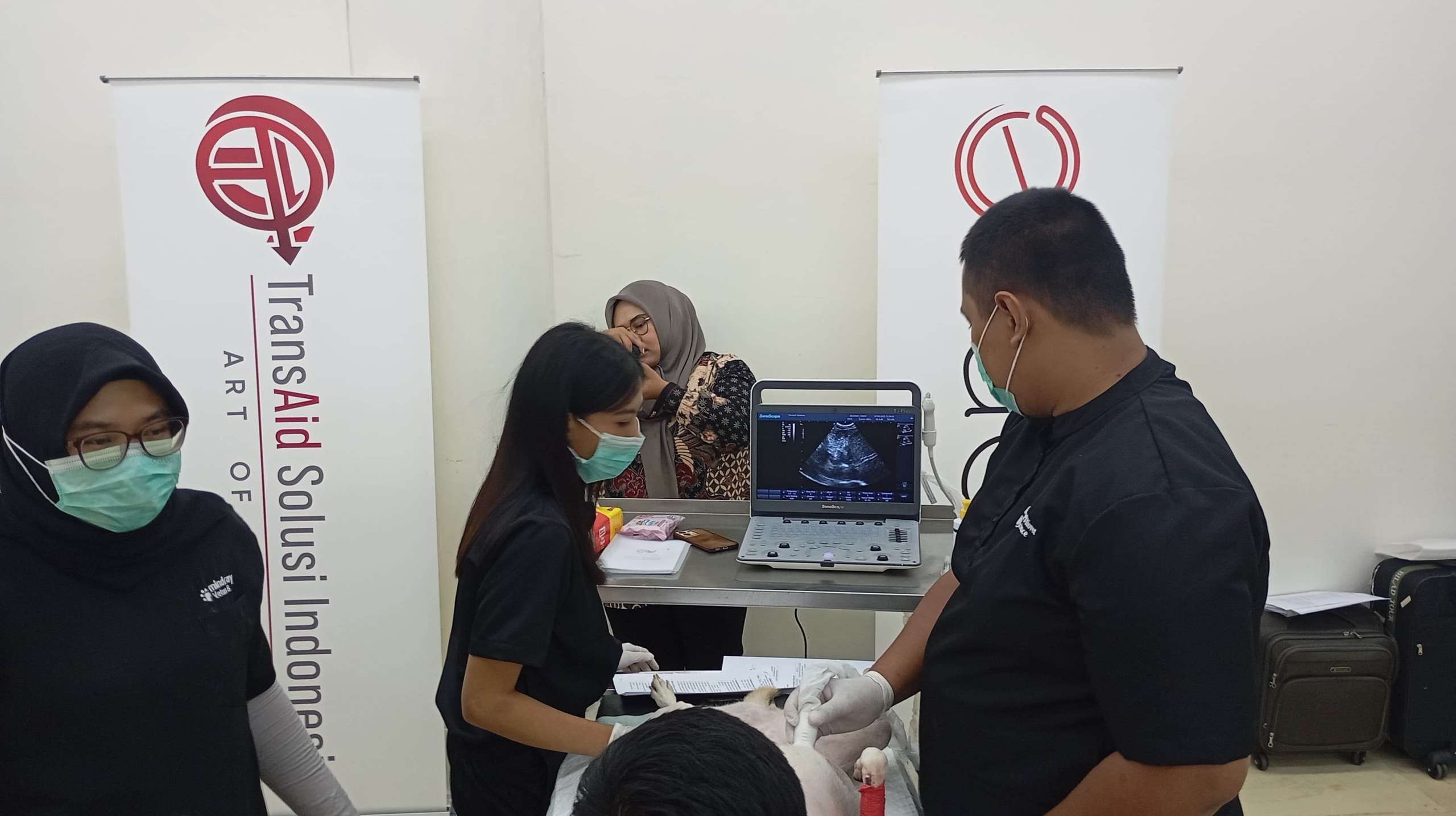 Seminar dan Workshop : Basic and Intermediate Abdominal USG - TransAid ...